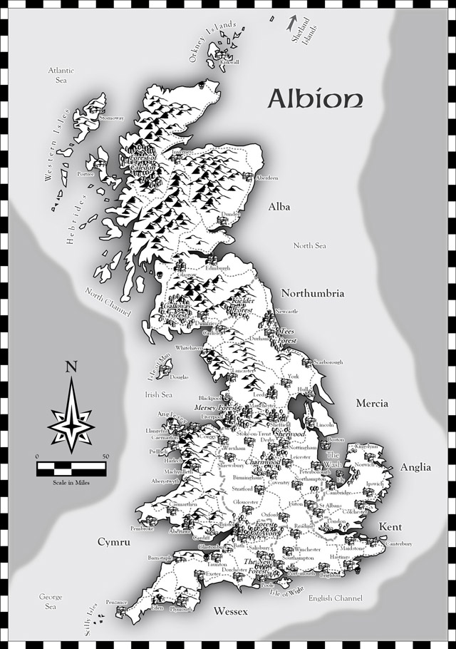 Profantasy's Map-Making Journal » Blog Archive » Albion Map